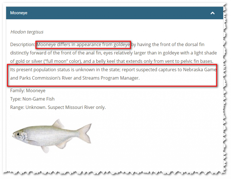 Goldeye Vs Mooneye Vs Skipjack | Big Muddy Fishing & Big Curt Tackle